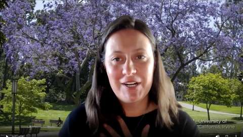 Hammer Channel | Hammer Museum